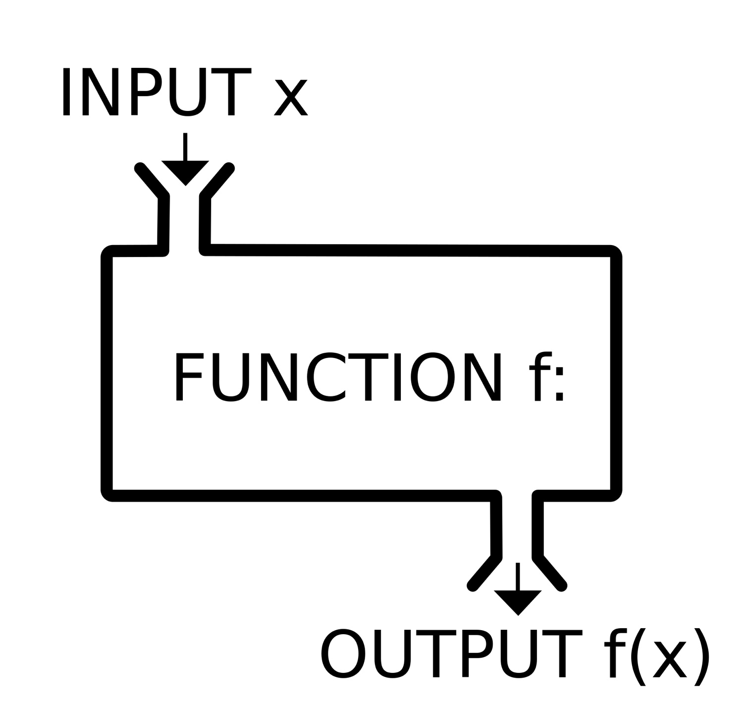 Session S03E12: Incorporating your own functions into loops | BioDASH